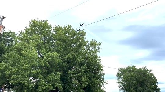 Tarnov commemorates 80th anniversary of bombing, fall festival - PLATTE ...